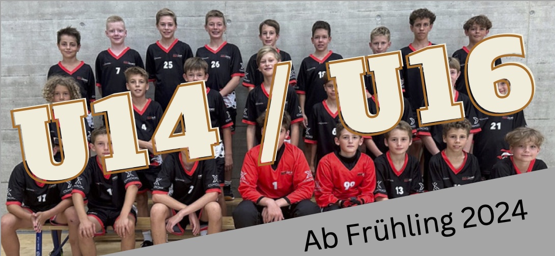 Angebot U14 / U16 Mannschaften – UHC Jonschwil Vipers